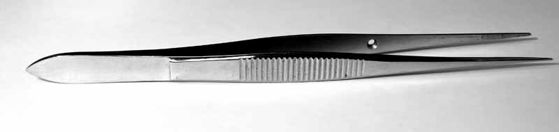 Forceps Stainless Steel Straight Points - overall length 130mm ...