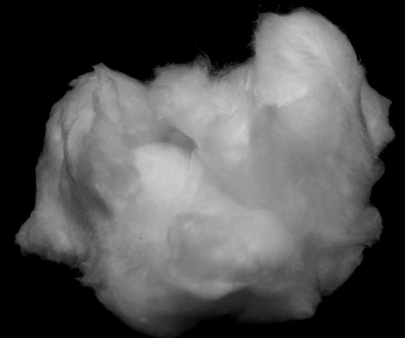 Silica (Quartz) Wool Very Fine 502-177 50gm | Elemental Microanalysis