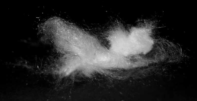 Silica (Quartz) Wool Fine 502-177 50gm - Elemental Microanalysis