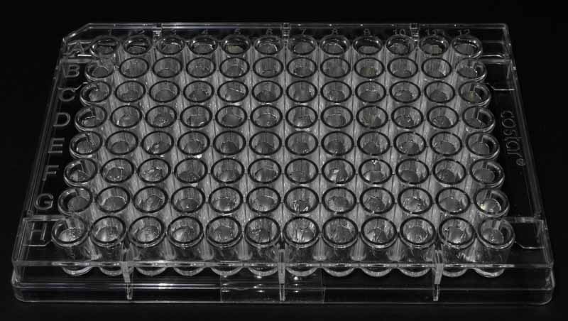 Tin Capsules Ultra-Clean Pressed Standard Weight 8 x 5mm, Multiwell ...